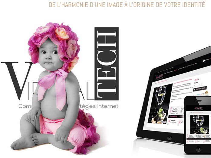 VIRTUAL TECH - Montargis Passion